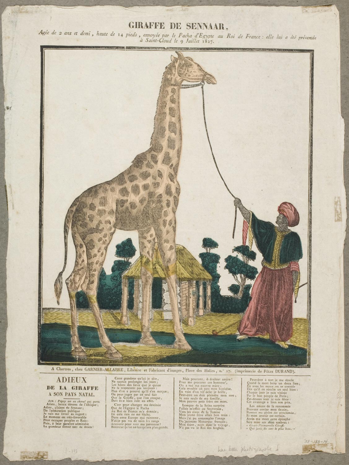 How Zarafa, France's First Giraffe, Became a Cultural Sensation