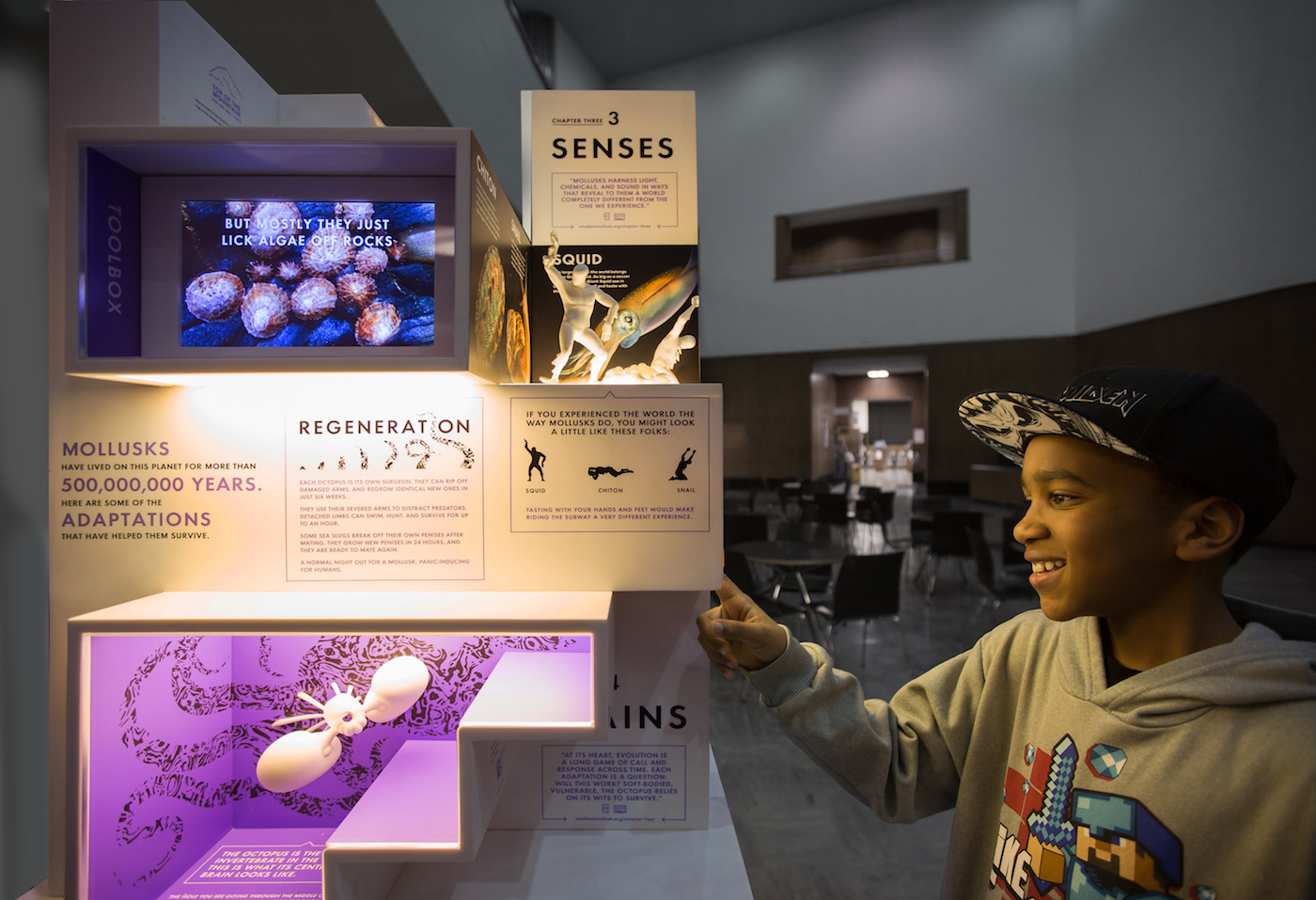 The Smallest Mollusk Museum Brings Science Education to Unexpected Places