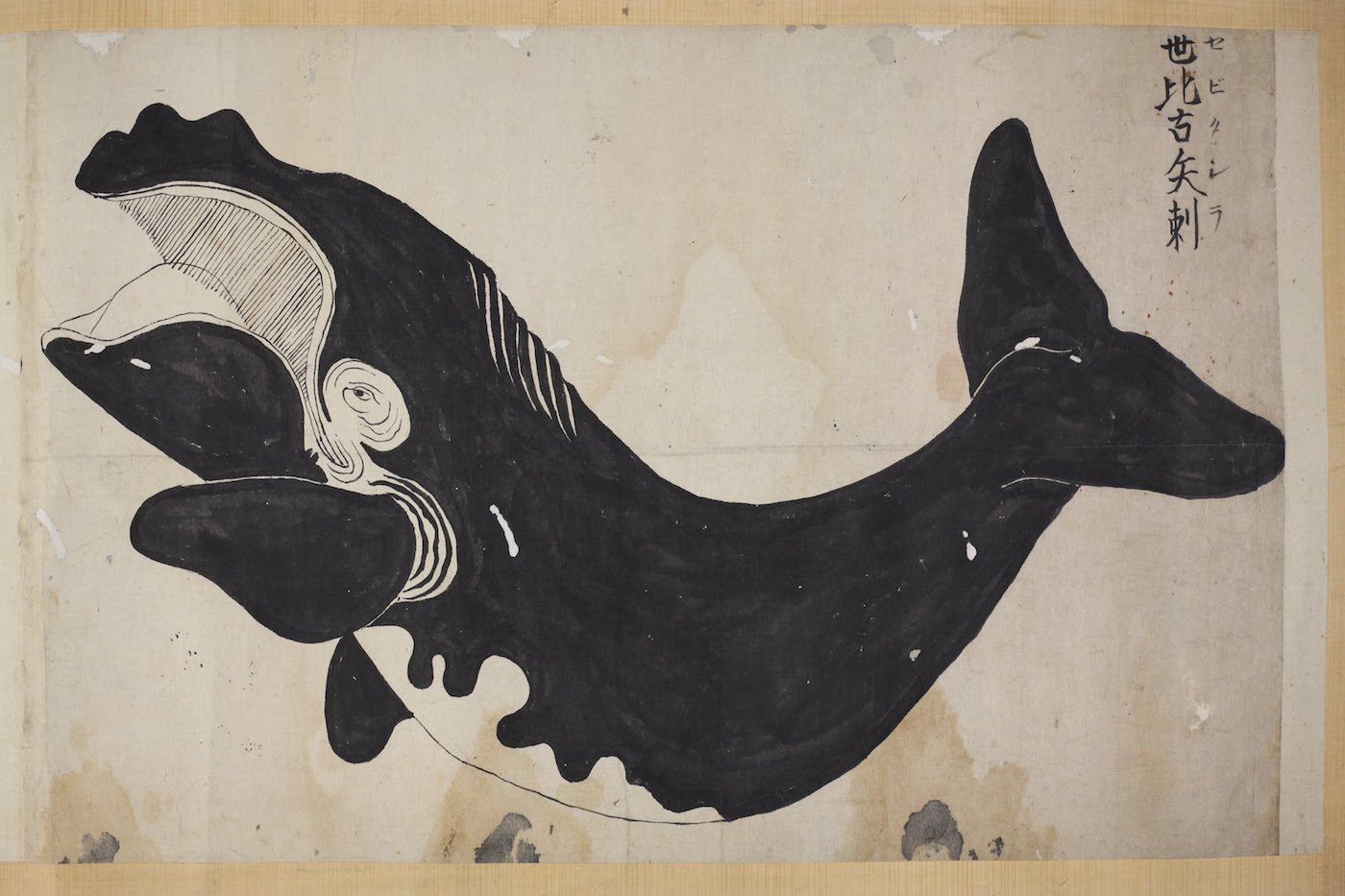In Edo Japan, Artists Captured Whales Like Never Before