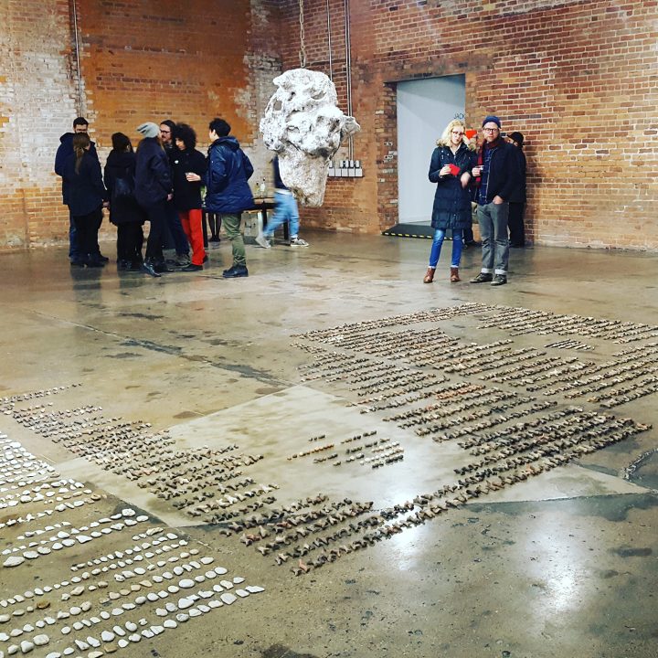 An Artist Finds the Roots of Language in Natural Forms