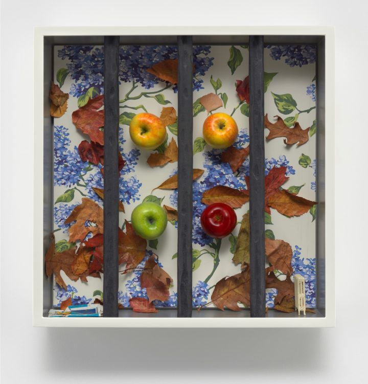 The Bewildering Lexicon of Robert Gober