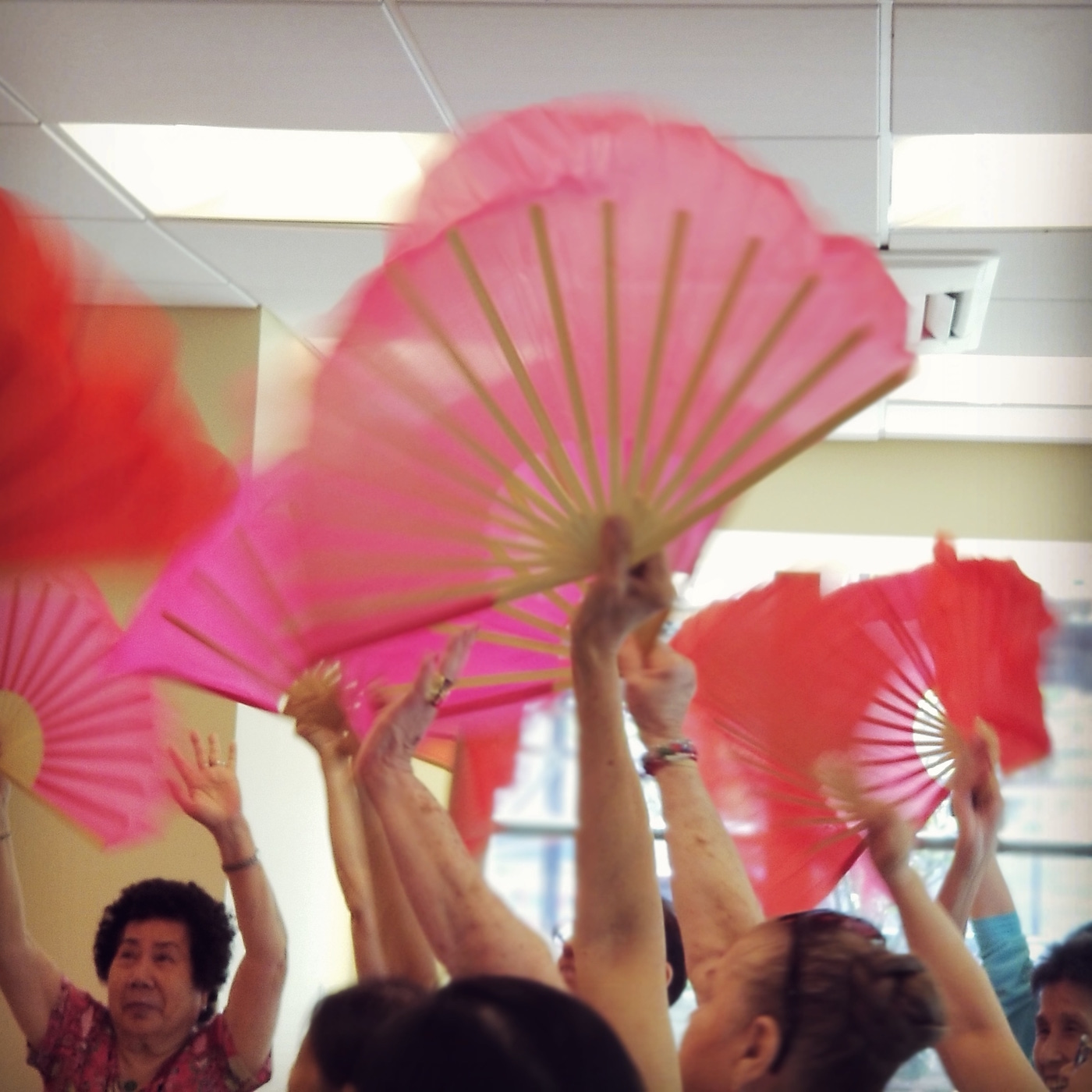 A Parade Celebrates the Immigrant and Senior Communities of New York’s ...