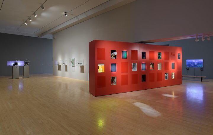 The Science and Pleasures of How We See