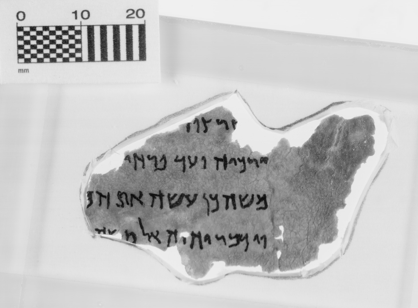 Dead Sea Scrolls at the Museum of the Bible Revealed as Forgeries