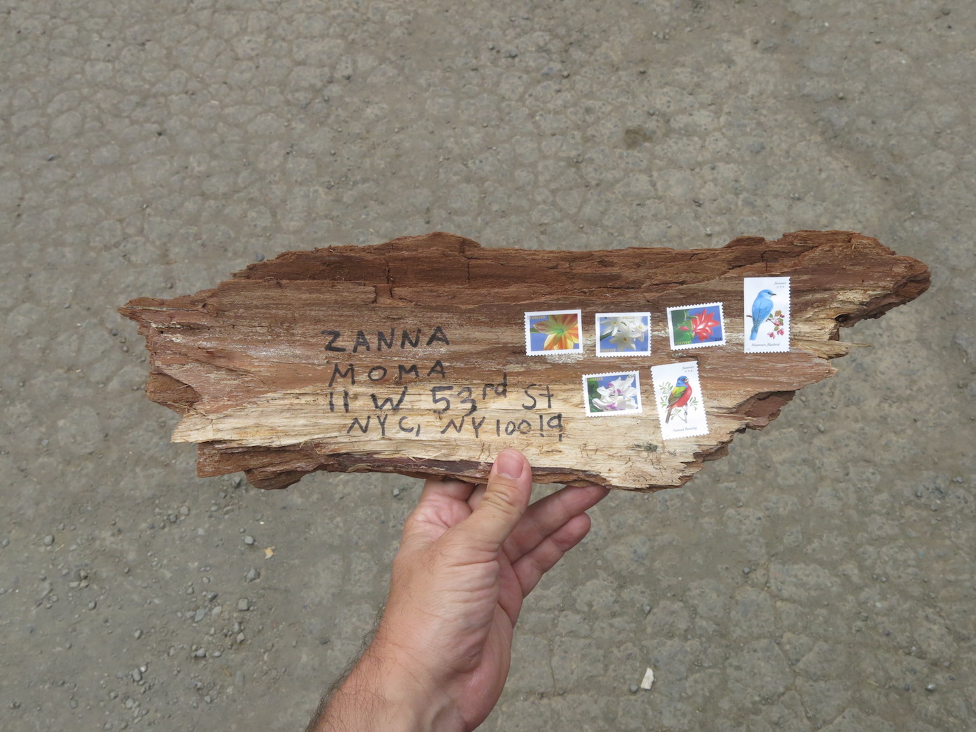 A Couple's Years-Long Mail Art Correspondence Leads to a Workshop