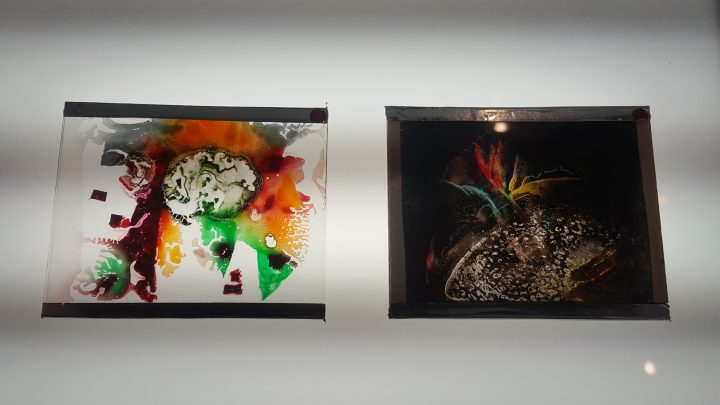 Rediscover One of the First Artists Who Choreographed Dance for Film