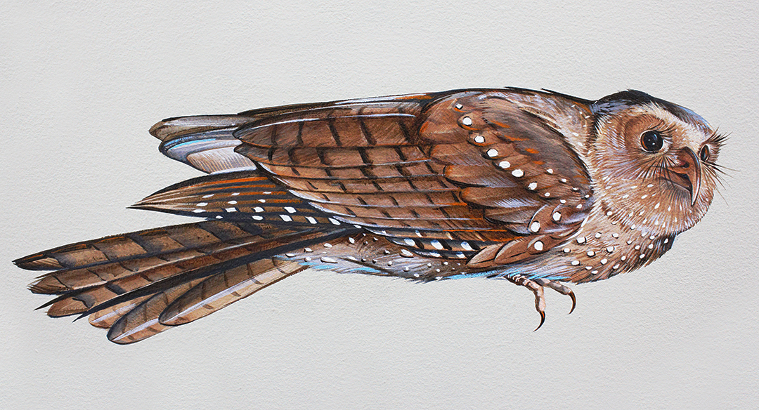 A Colossal Mural Chronicles 375 Million Years of Bird Evolution