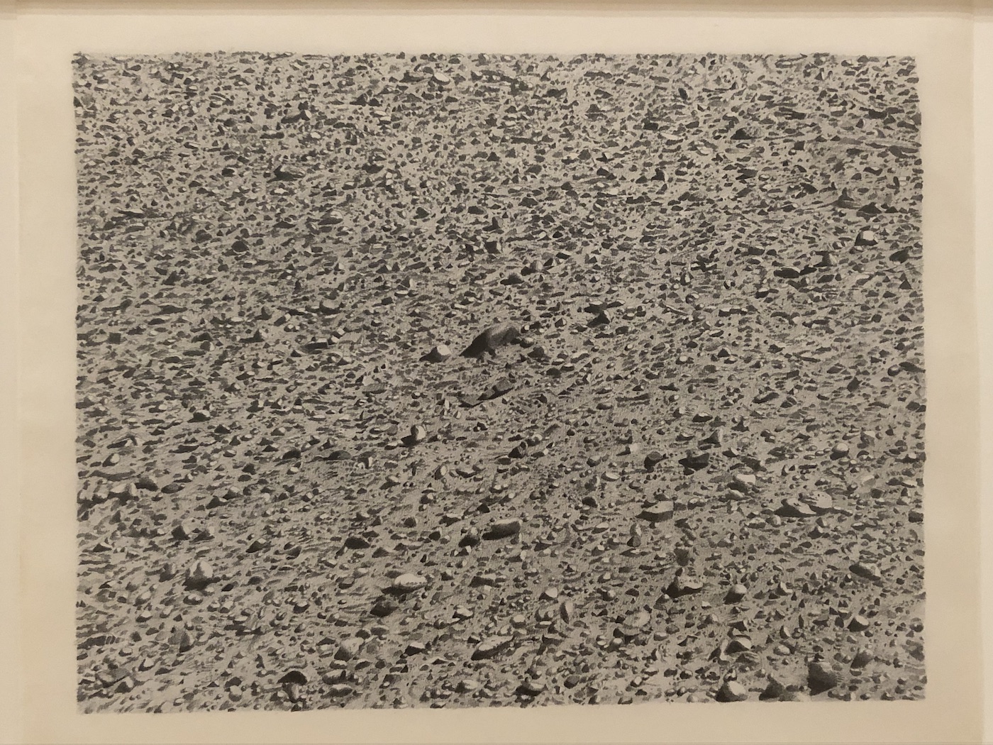 When Vija Celmins Holds the Shifting World Still