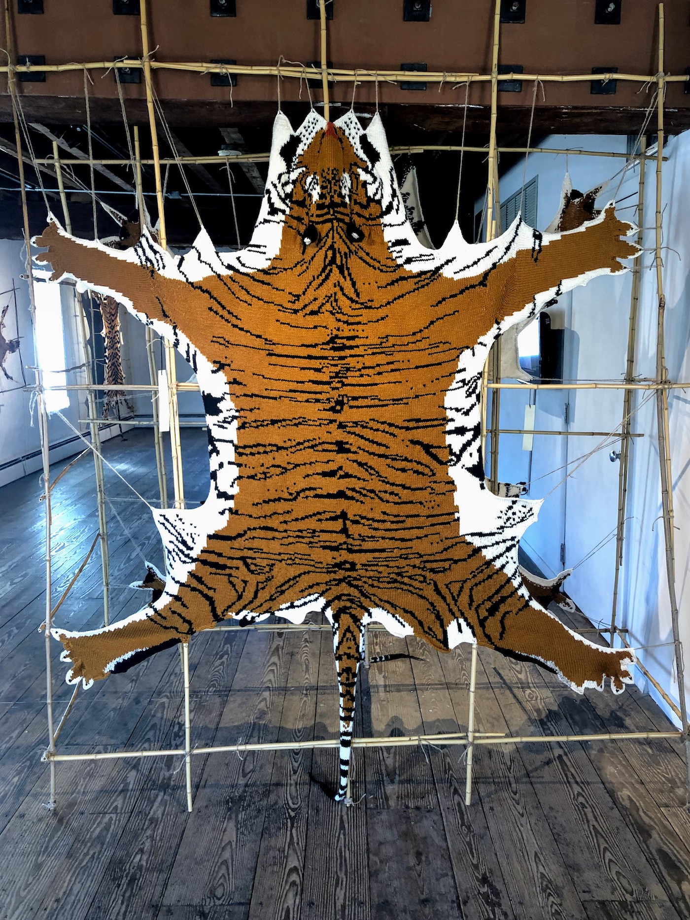 Knitted Works of Endangered Animals that Inspire Warmth and Empathy