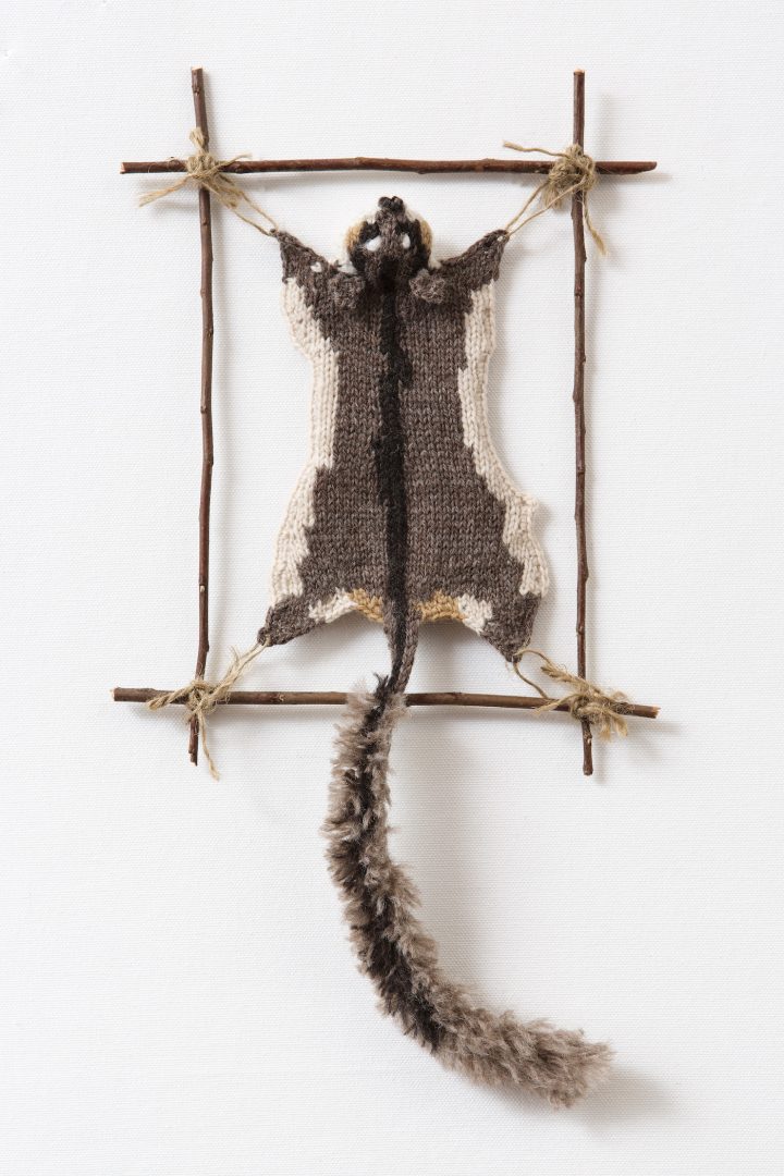 Knitted Works of Endangered Animals that Inspire Warmth and Empathy