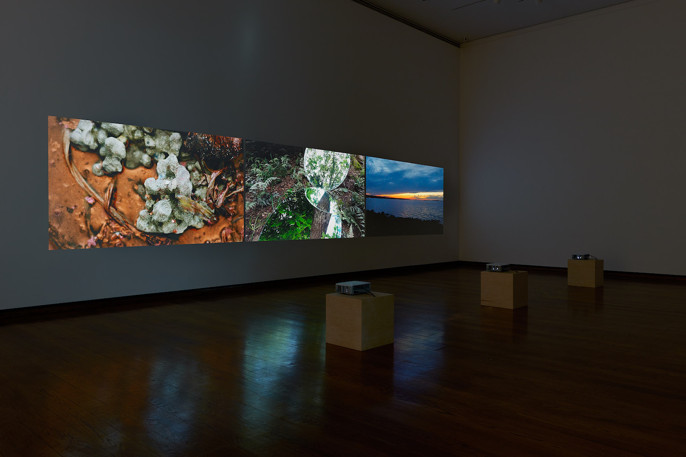 Blueprints for Our Future Planet as It Moves Toward Extinction