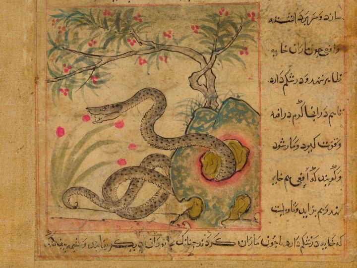 Interpreting the Beasts of the Middle Ages