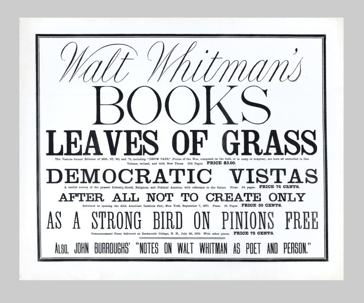 Walt Whitman's Sensuality and Self-Promotion