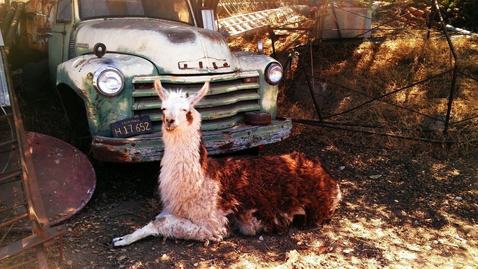 Five Art Getaways from Los Angeles