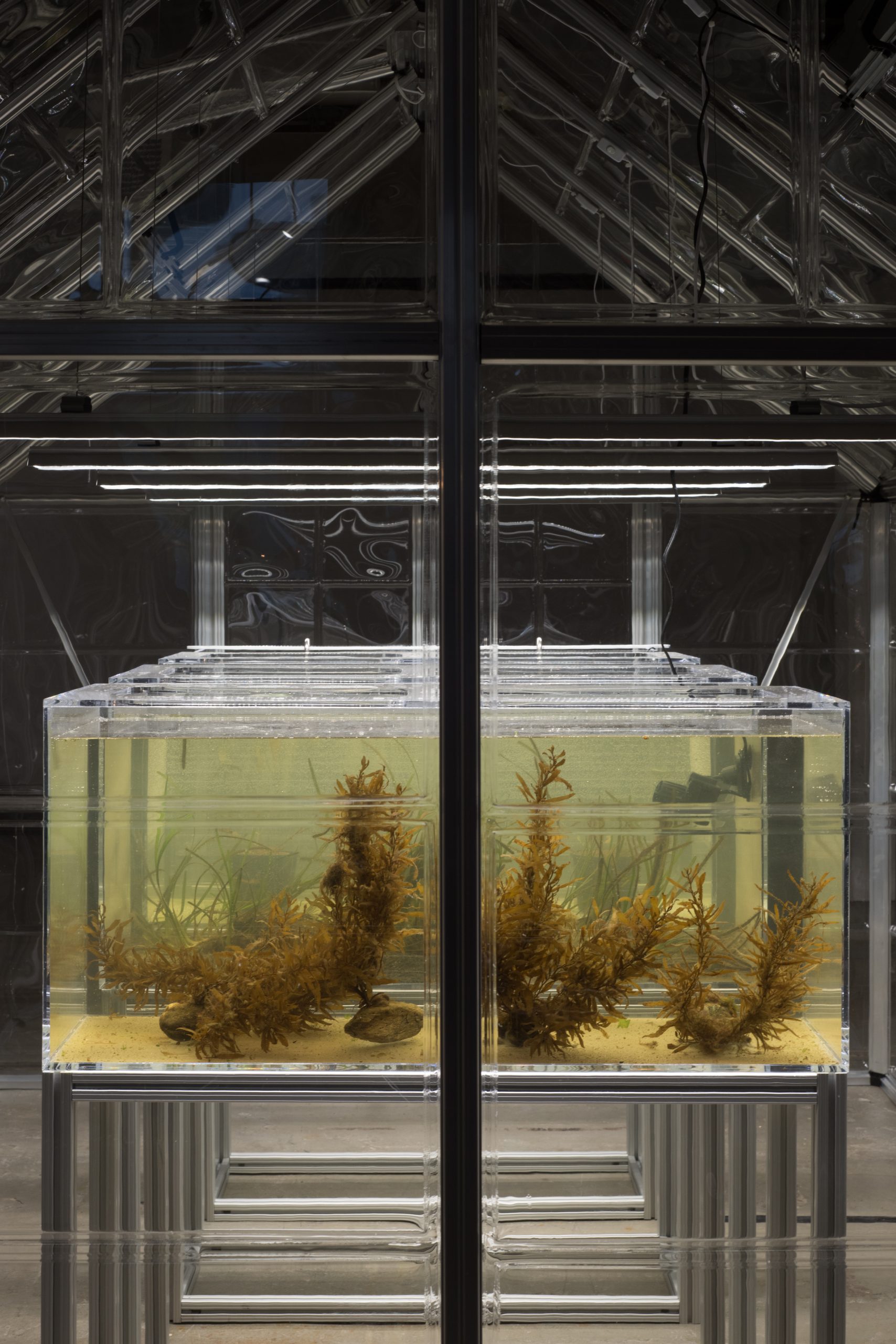 A Greenhouse for Extinct Flora