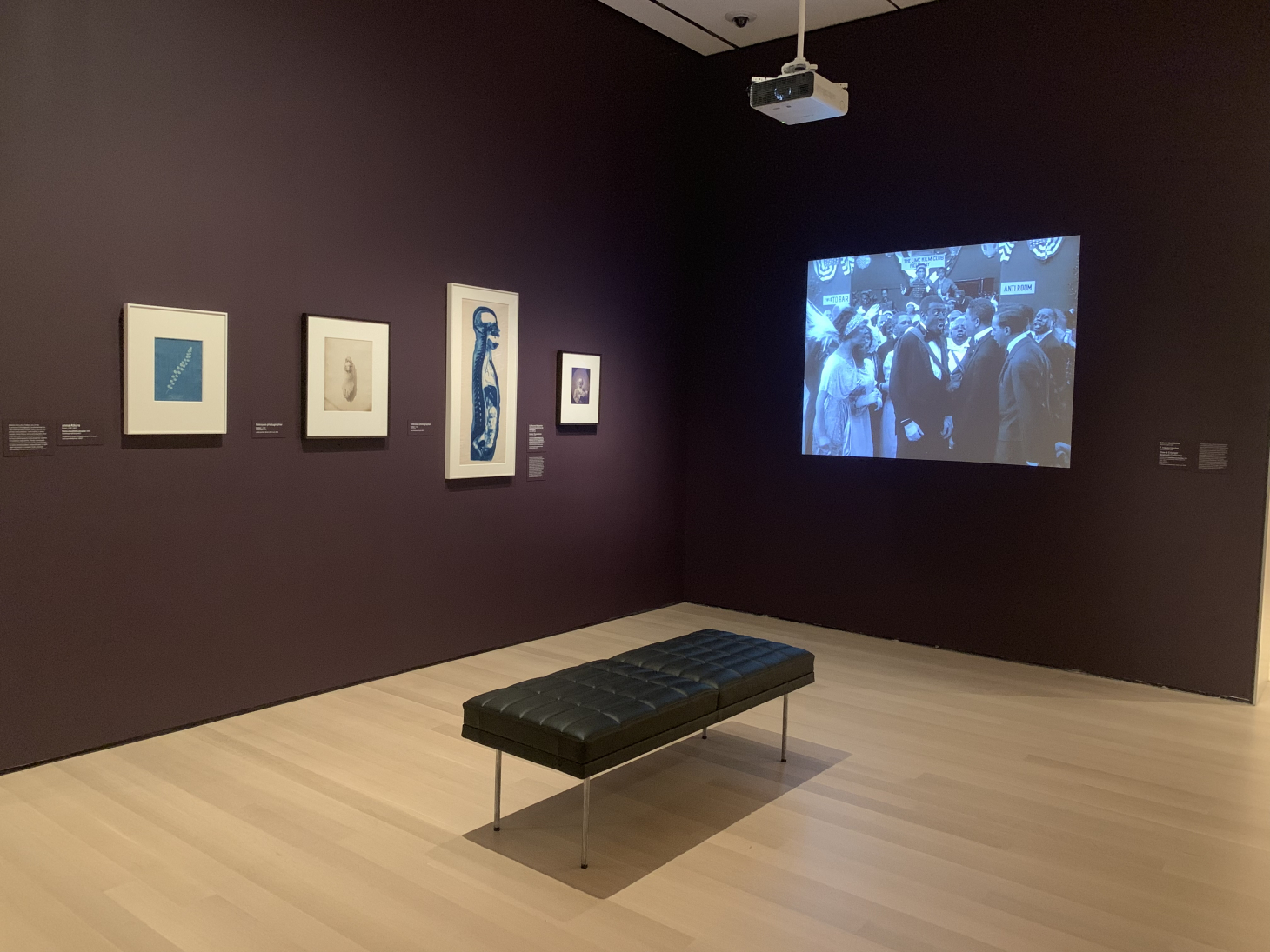 The New MoMA: A Mix of Innovative Choices and Missed Opportunities