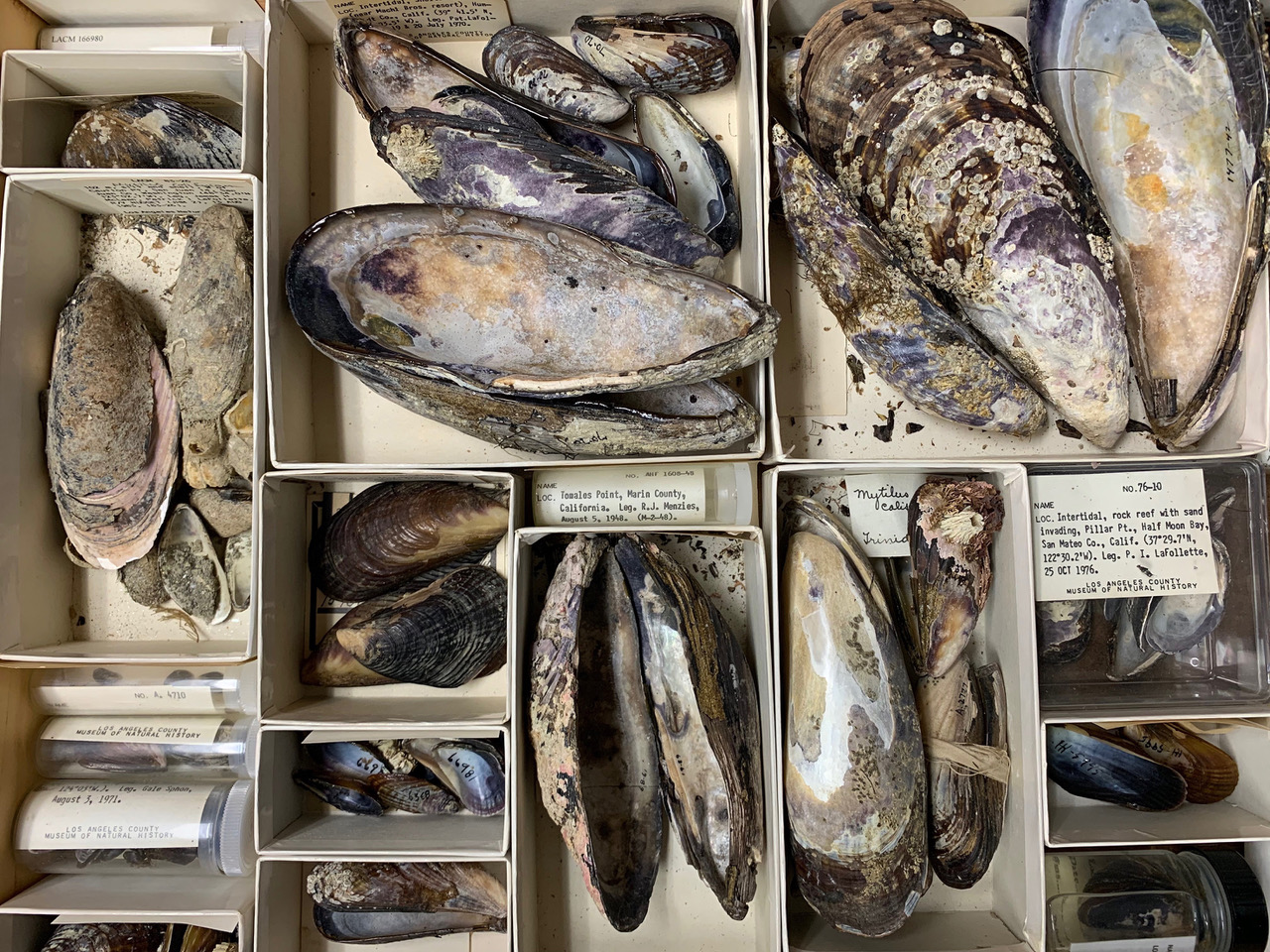 15 Artists Address the Politics of Food in Whimsical and Weighty Ways