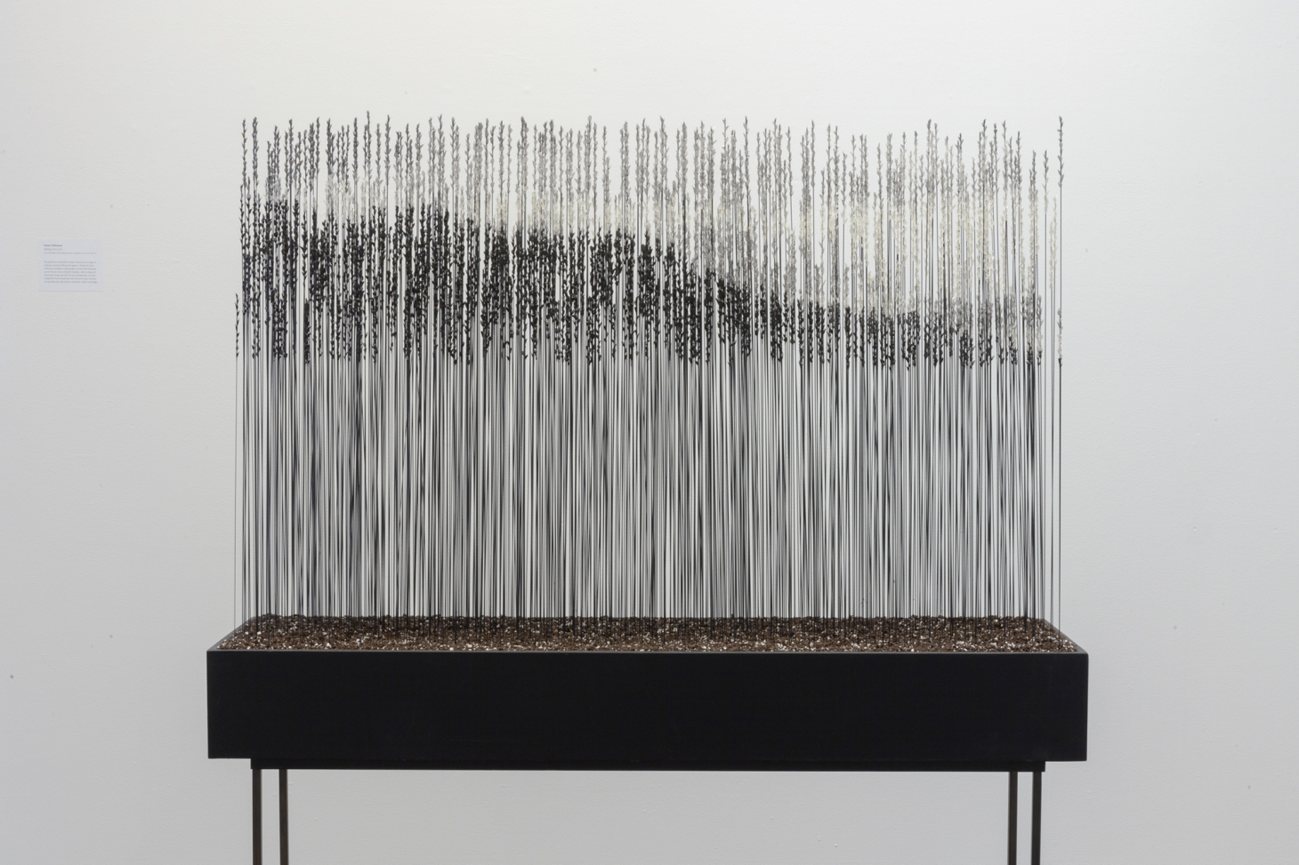 Fragile Borders and Rituals of Remembrance