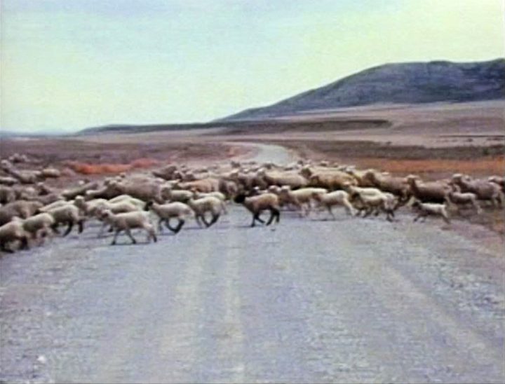 A Rediscovered Nancy Holt Documentary From 1970