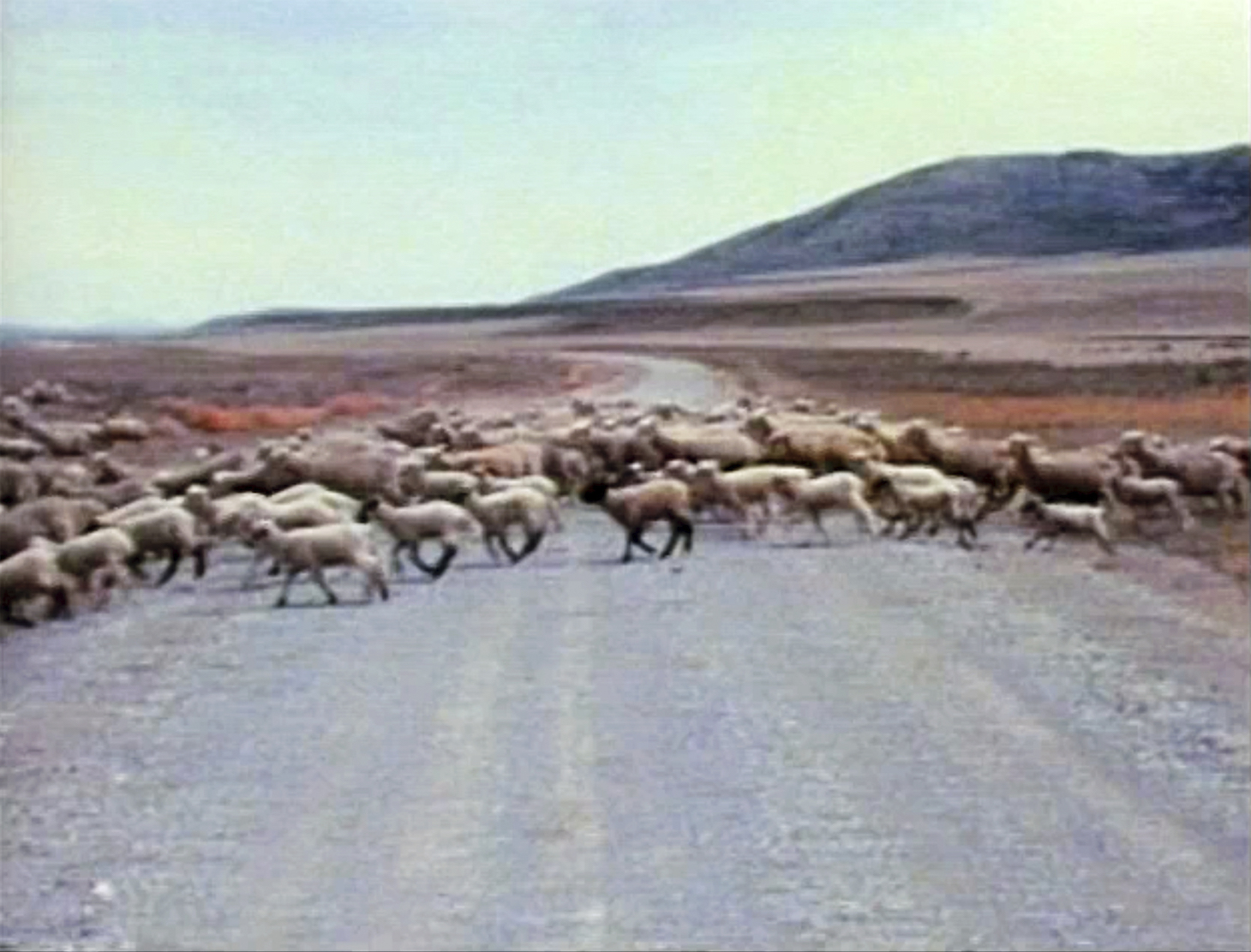 A Rediscovered Nancy Holt Documentary From 1970