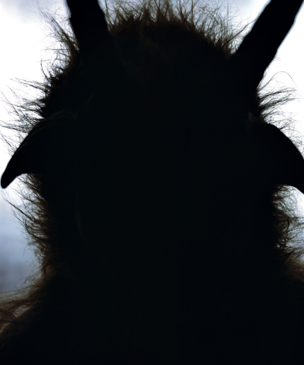 The Art of the Devil, a Delightfully Diabolic Illustrated History