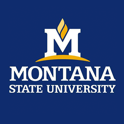 Montana State University – Hyperallergic