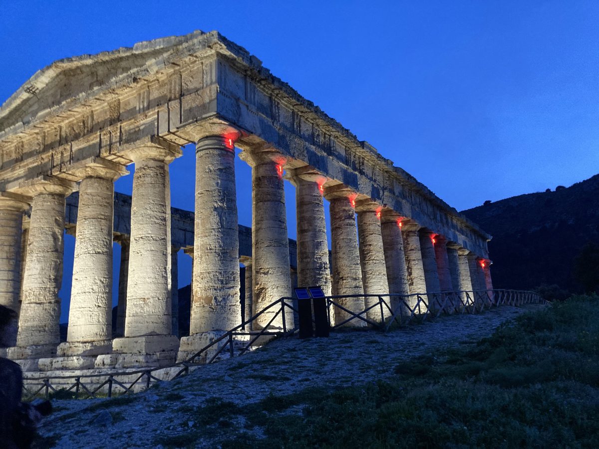 Cats Take Over the Art World