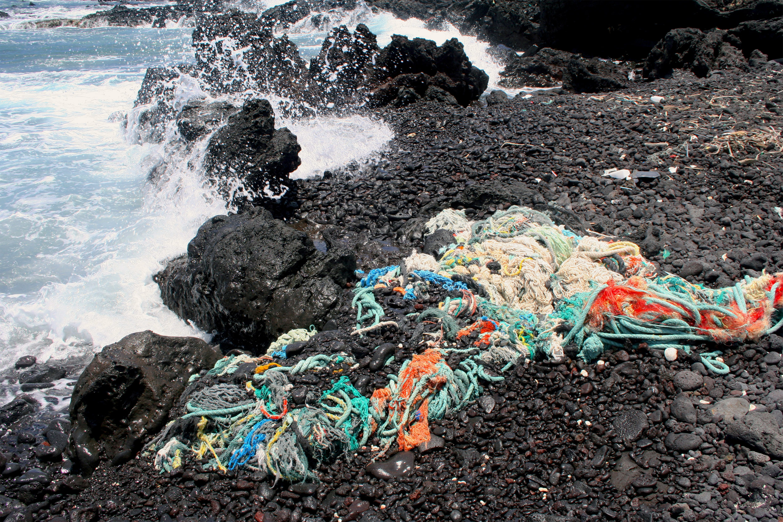 A Crowd-Sourced Archive of Our Oceans’ Plastics