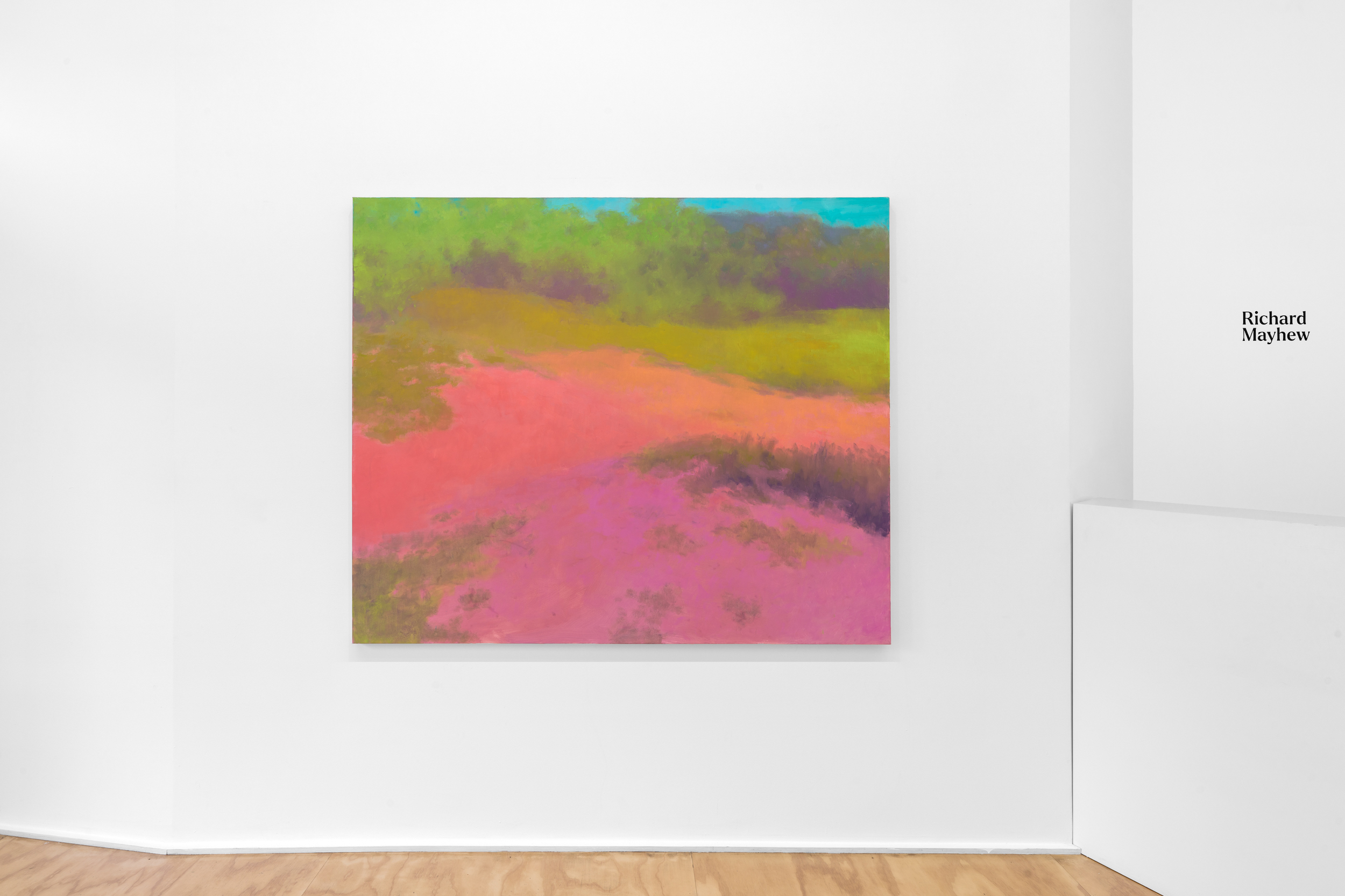 Richard Mayhew's Visionary Mindscapes